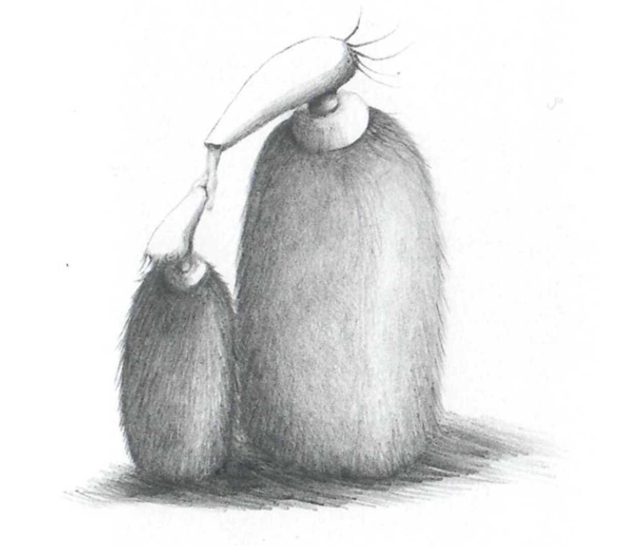 Für das "biblio_BUFFET" war der Lesesaal zu klein - Rorschacher Echo